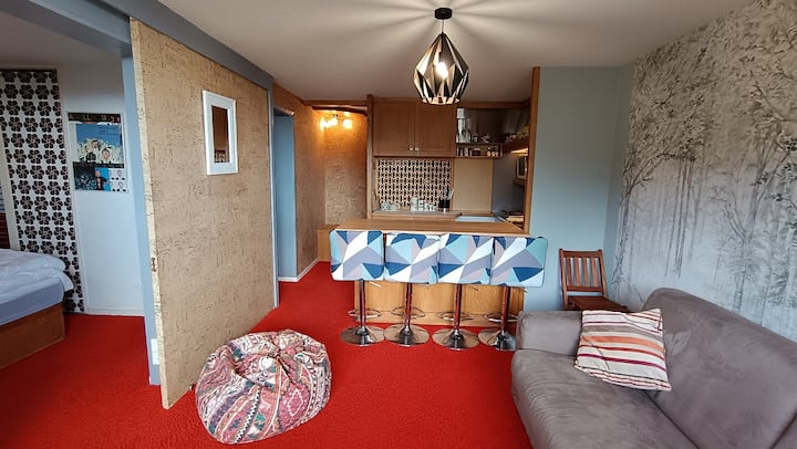 La Biche 101 - Sur Les Pistes - 5personnes - Chambon-sur-Lac