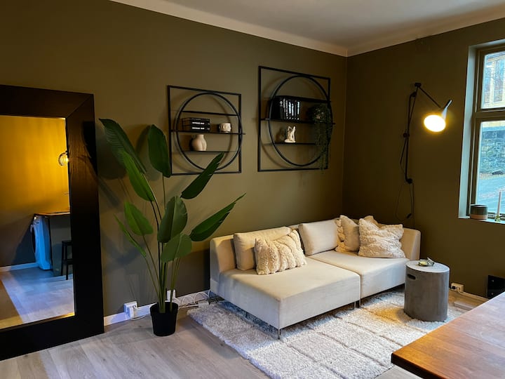 Leilighet I ÅLesund Sentrum - Ålesund