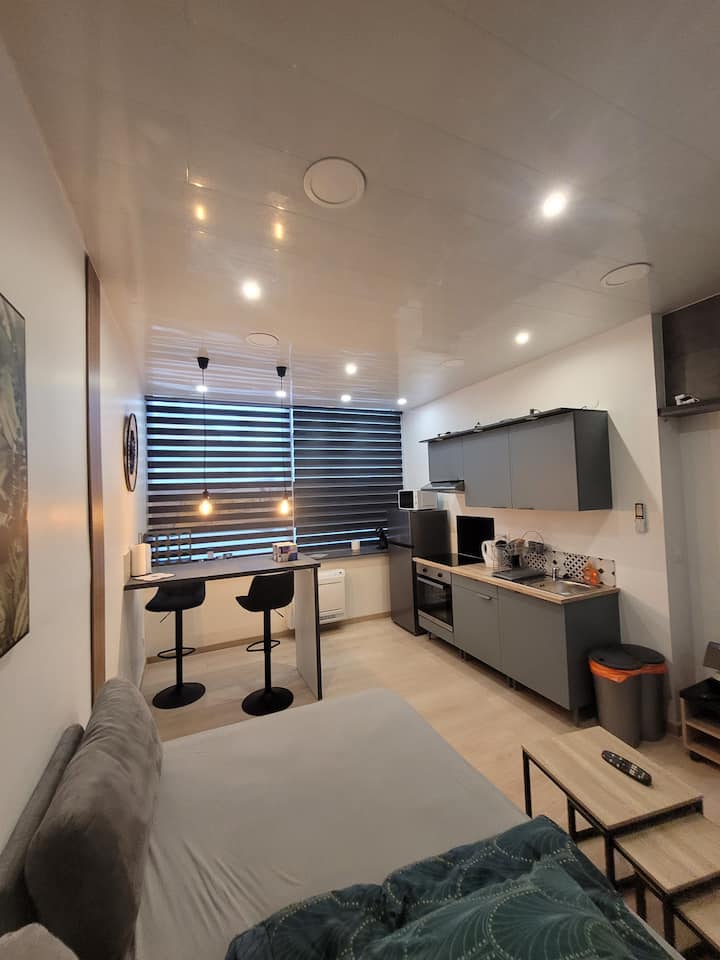 Coquet Studio De Standing Tout éQuipé - Freyming-Merlebach