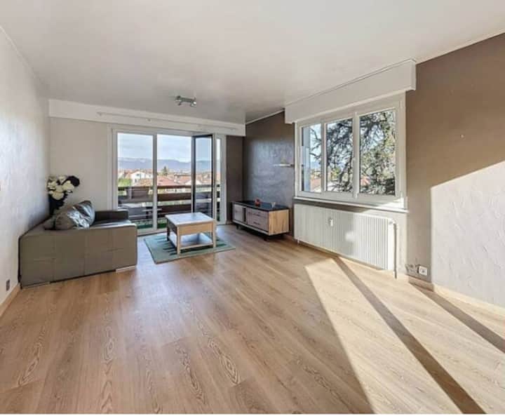 Bel Appartement T3 Meublé Dans Agréable Résidence - Annemasse