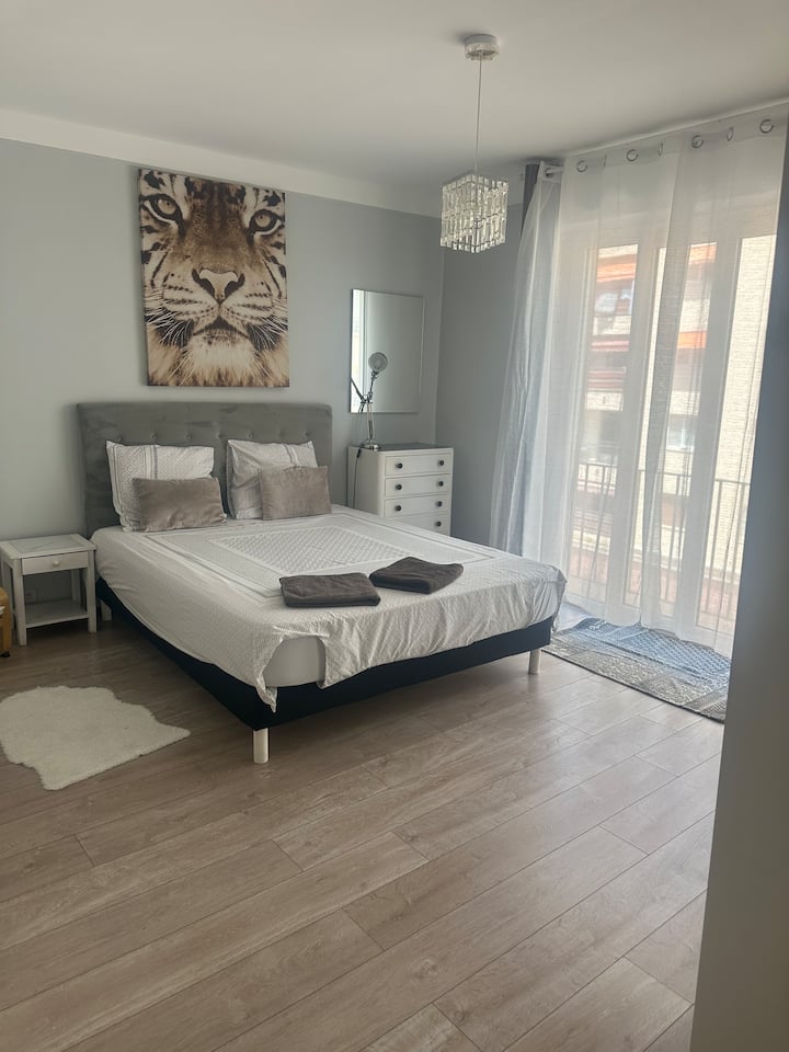 Beautiful Apartment 3 Minutes Beaches - Beaulieu-sur-Mer
