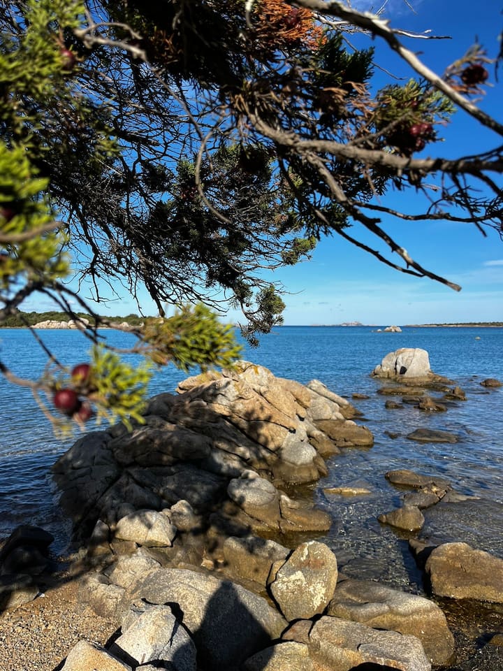 Porto Rotondo Oasi Di Pace A Pochi Metri Dal Mare - Golfo Aranci