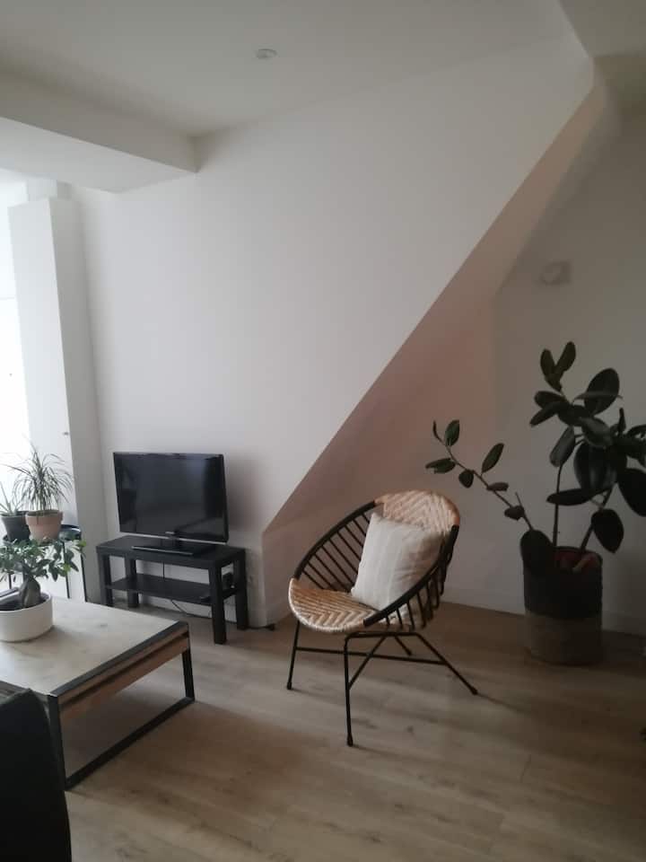 Appartement T2 Entièrement Rénové. - Lione