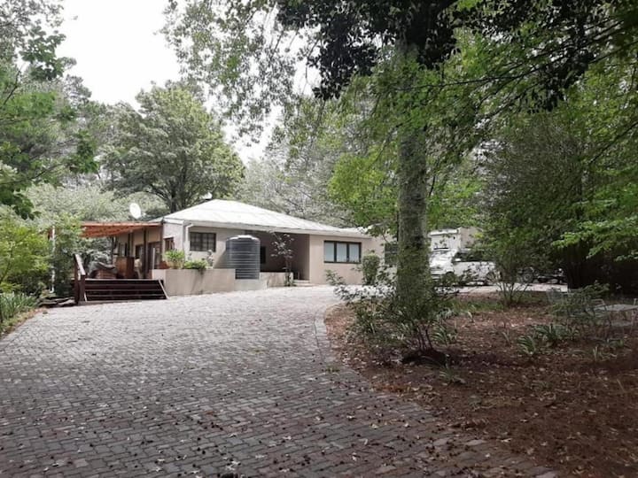 Camroshell: Rustic Forest Retreat In Hogsback - Hogsback