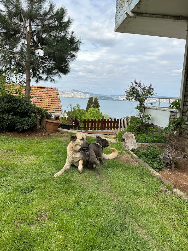 Double Room With Sea View - Büyükada