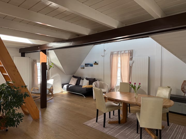 Helle 2-zimmer-wohnung Mit Viel Charme-düdingen - Fribourg, İsviçre