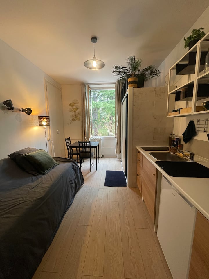 Petit Studio Dans Ancien Grand Hôtel - Aix-les-Bains