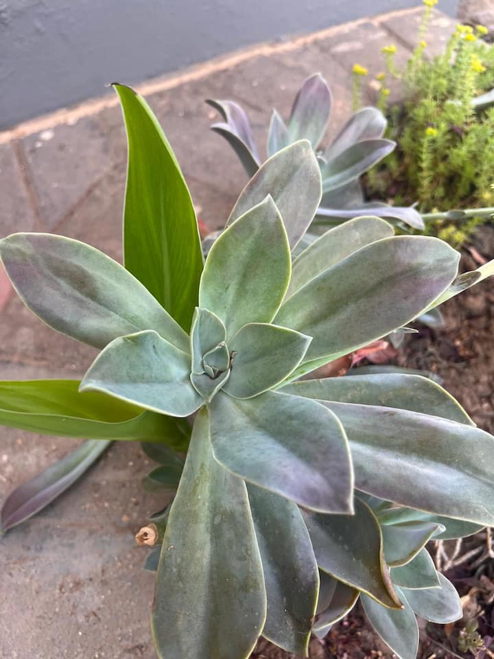 Riverside Self Catering Accommodation - Beaufort West