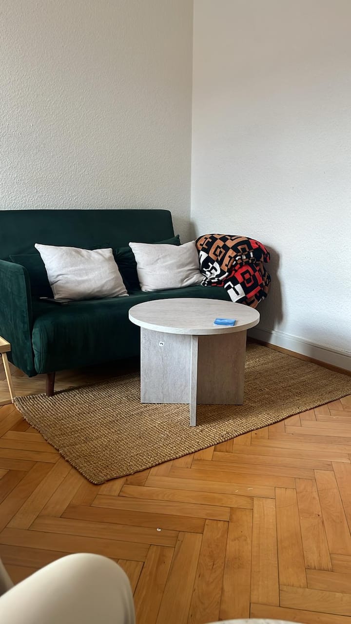 Cozy Lake Side Aparmtent - Geneva