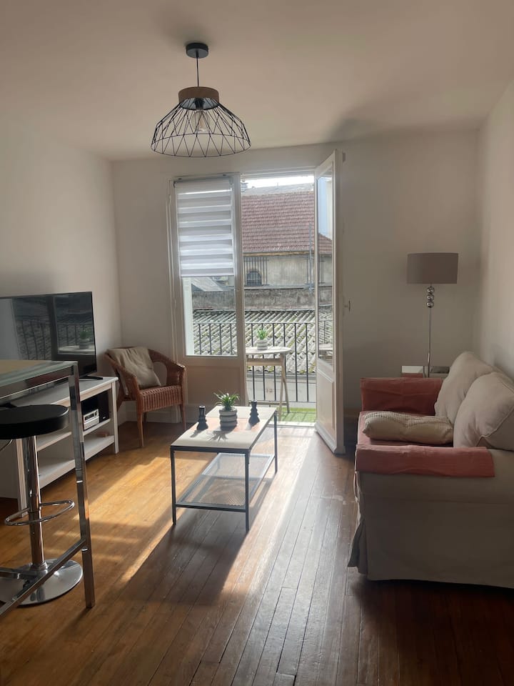 Appartement Chaleureux Au Centre De Pau. - Pau