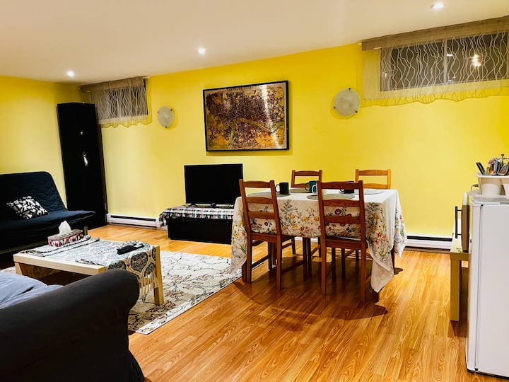 1 Bedroom Shinny Basement Unit - Mirabel