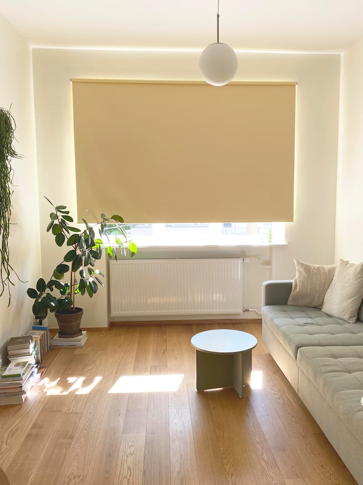 Apartment In Tallinn - Estonia