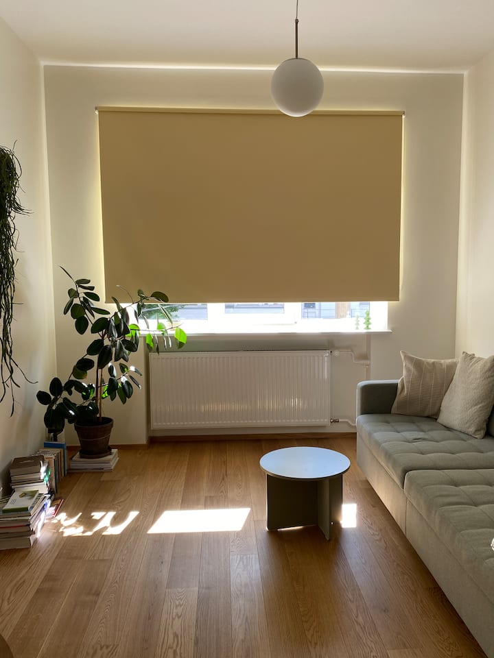 Apartment In Tallinn - Tallinn