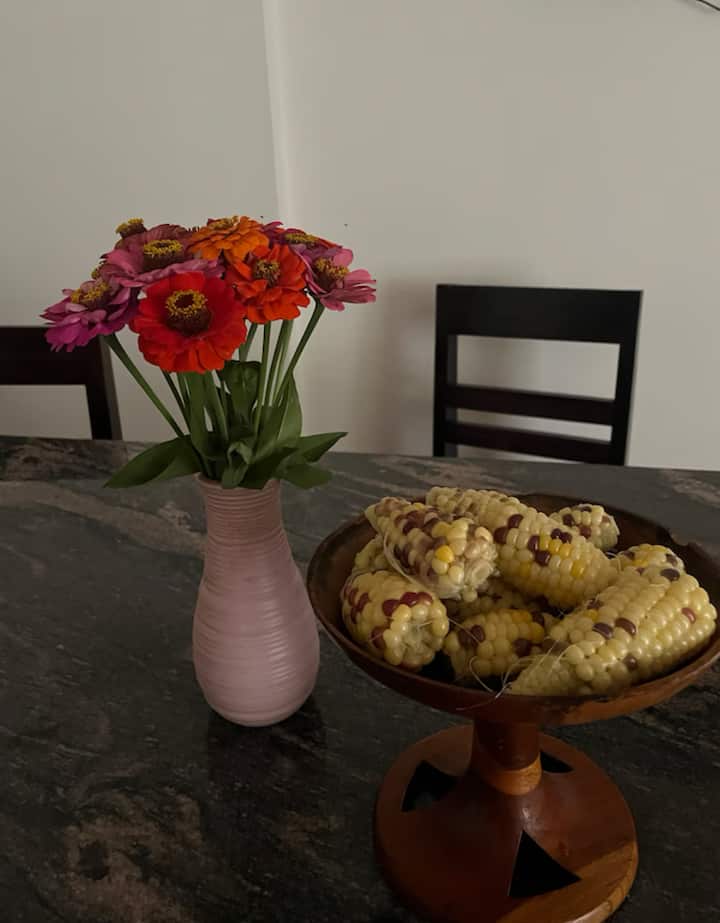 Cuba Homestay - Chine