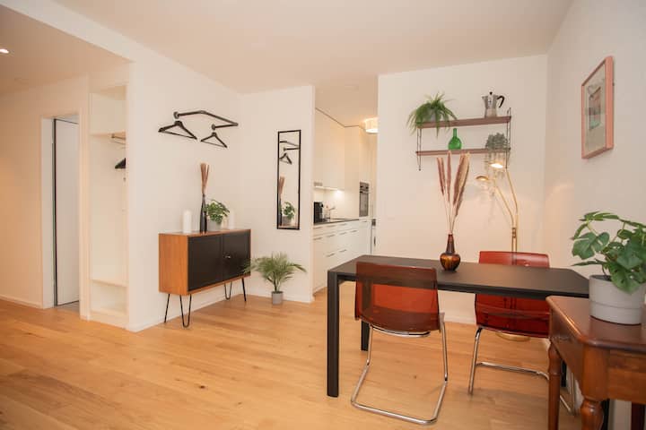 Penthouse With Terrace & Panoramic View Over Basel - Basilea