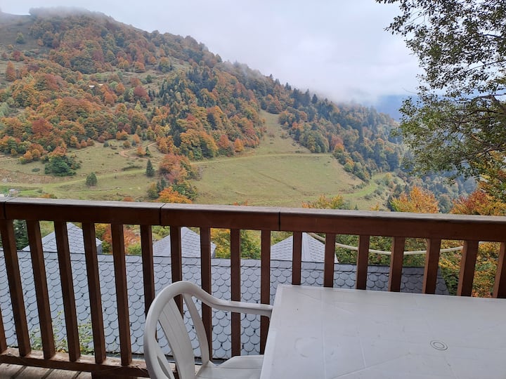 Le Refuge Des Bouquetins - Guzet-Neige