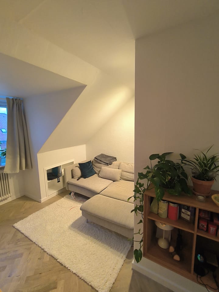 Cozy Apartment In Copenhagen - Copenhagen