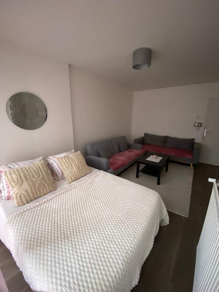 Appartement Prés Du Lac Du Héron - Villeneuve-d'Ascq