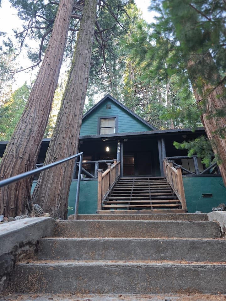 Spacious 5-bed Mountain Cabin • Fast Wi-fi - Pinecrest, CA