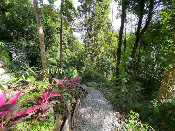 Casa Shirah In Minca - Minca