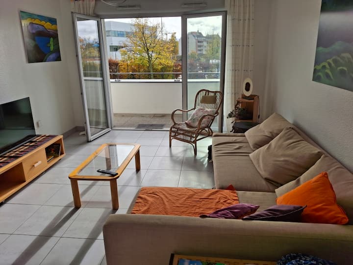 Appartement - Strasbourg