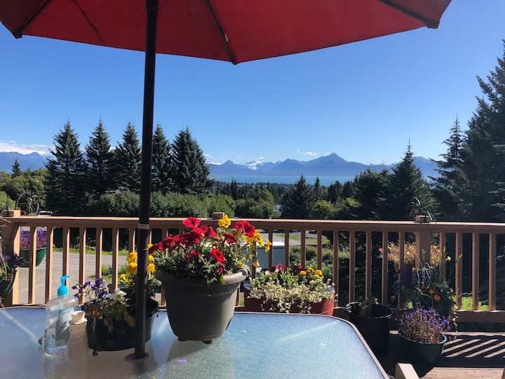 5-bedroom Homer Adventure Retreat - Homer, AK