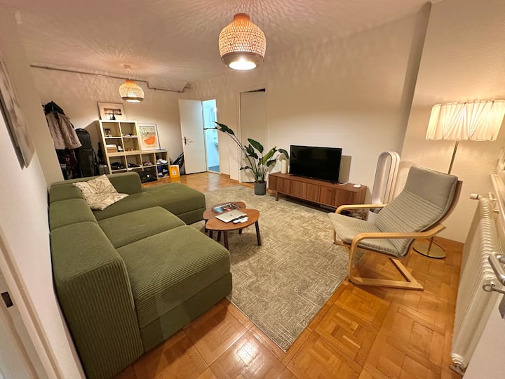 Cosy Apartment In The Old Town - Carouge