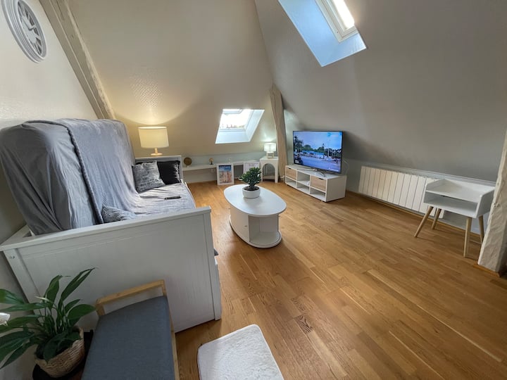 Studio Cosy Au Cœur D’orléans - Orléans
