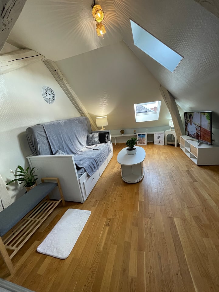 Studio Cosy Au Cœur D’orléans - Orléans