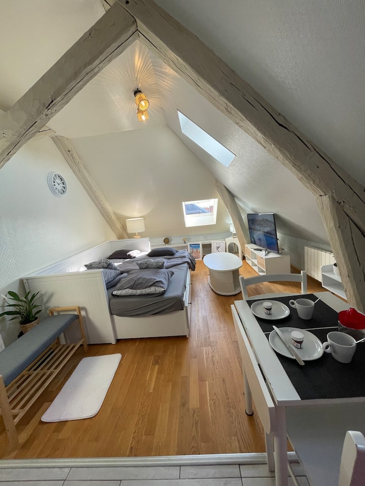 Studio Cosy Au Cœur D’orléans - Saint-Jean-de-Braye