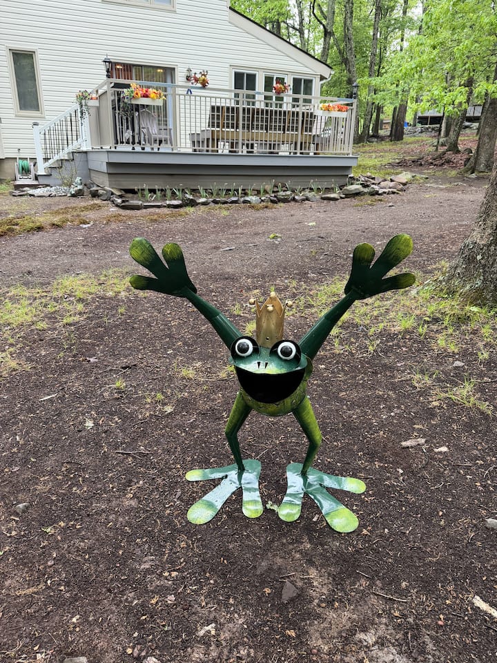 Frankie The Frog's Campfire Cove - Stroudsburg, PA