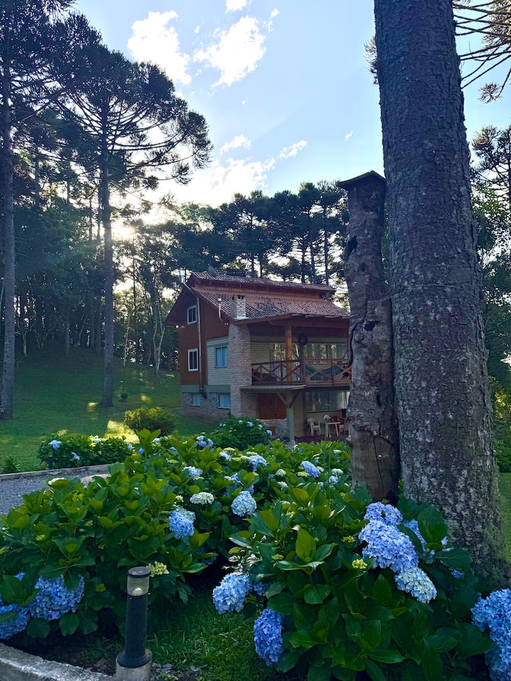 Chácara Phillipps, Um Paraíso Na Serra Catarinense - Campo Alegre