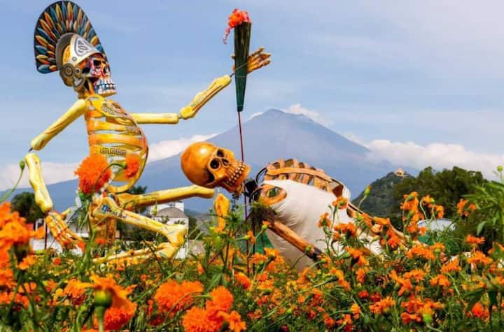 Casa De Las Flores - Planta Baja - Atlixco