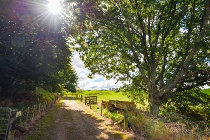 Ngakuru Sanctuary - New Zealand