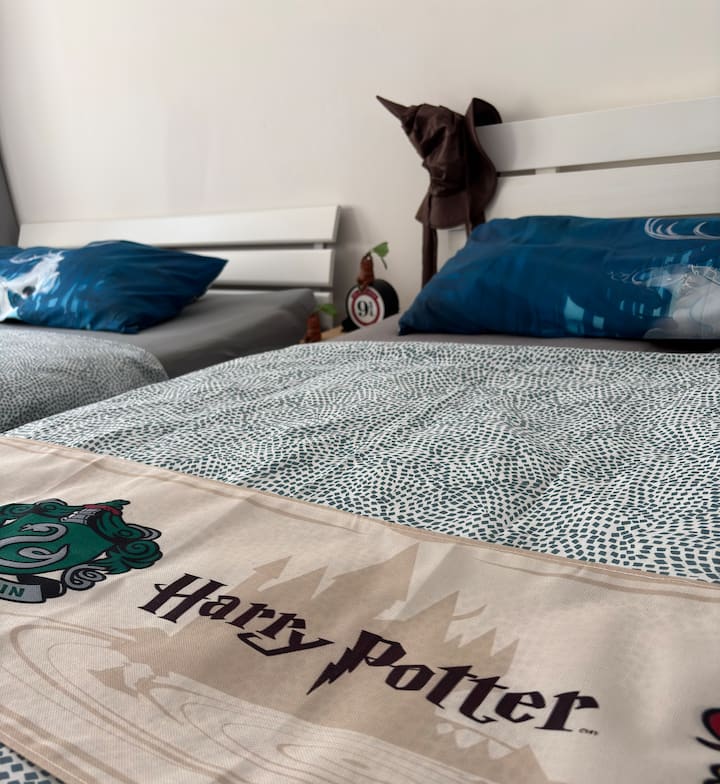 Harry Potrer - Oberwiesenthal