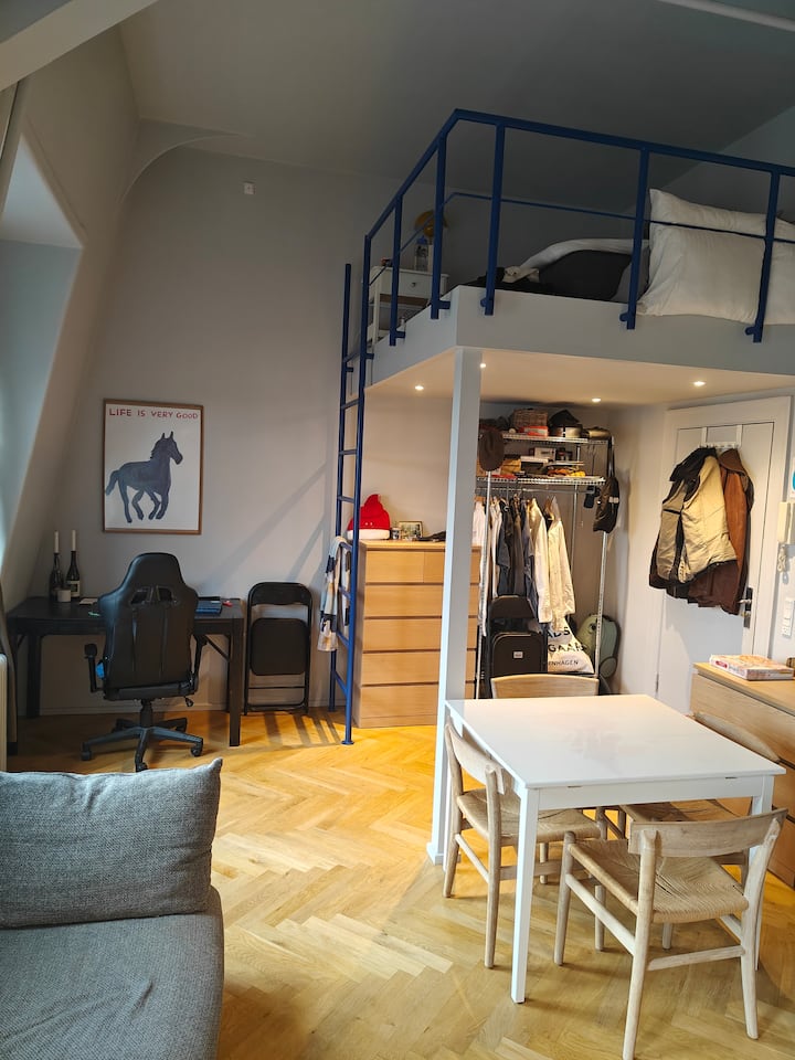 Central Attic Apartment - Copenhaguen