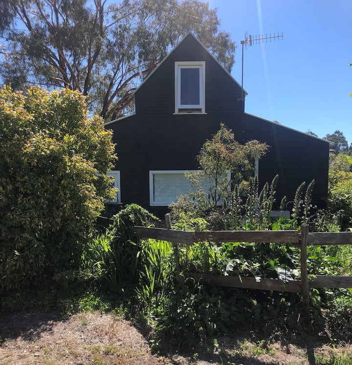 The Barn@lievesley Farm
Well Behaved Dogs Welcome - Armidale