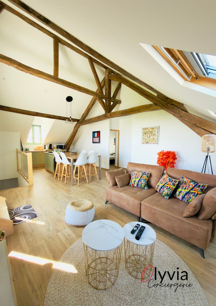 Appartement Vue Cathédrale - Laon