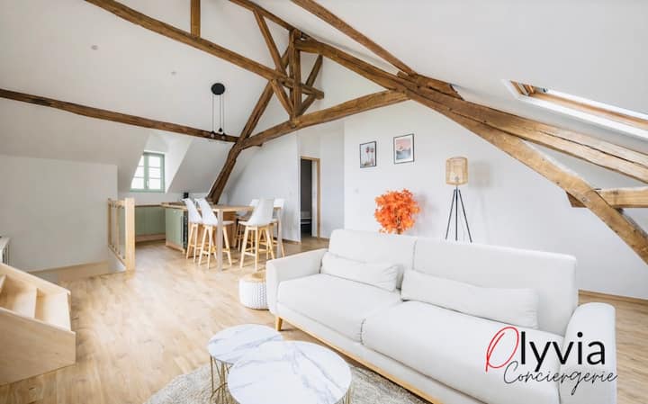 Appartement Vue Cathédrale - Laon