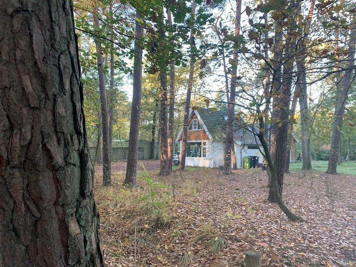 Welkom In Ons Boshuis! - Boxtel