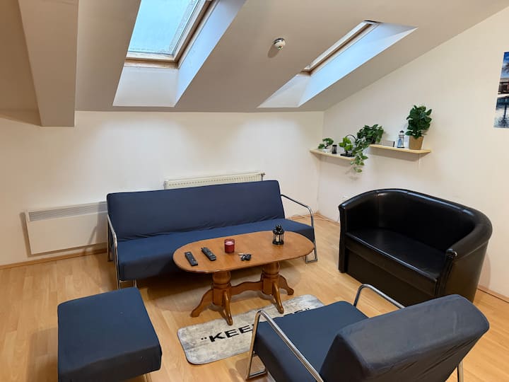 Roof Apartment - Jagodina