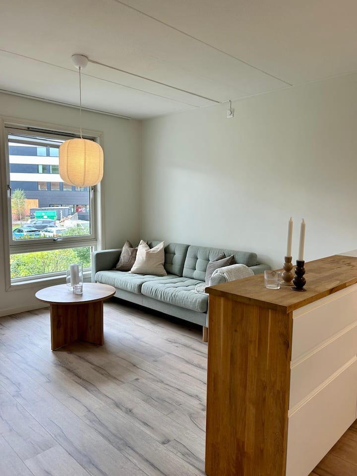 Lys Og Moderne 2-roms Leilighet På Ryen - Oslo