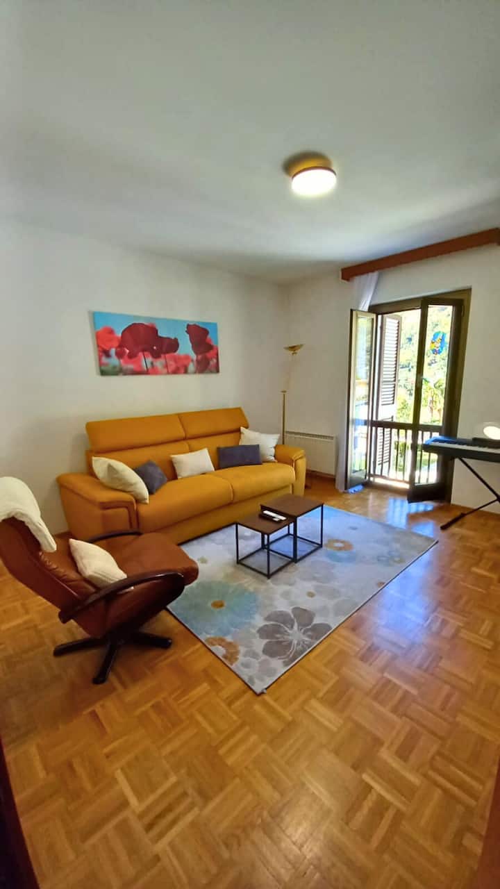 Appartamento Con Giardino-vicino A Locarno, Ascona - Losone