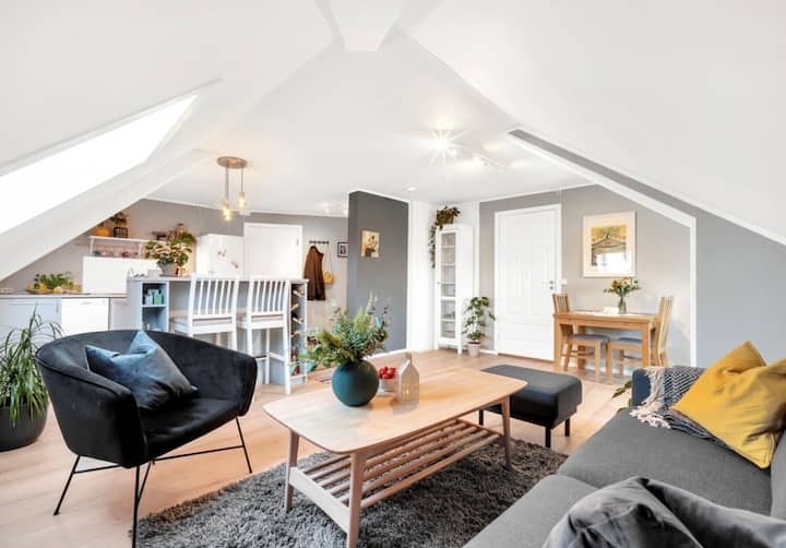 Stilren Leilighet I Ila - Gåavstand Til Alt - Trondheim