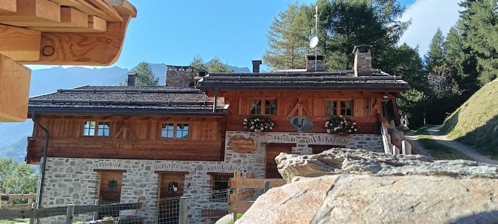 Baita Chalet "Maso Gallo Cedrone" - Cogolo