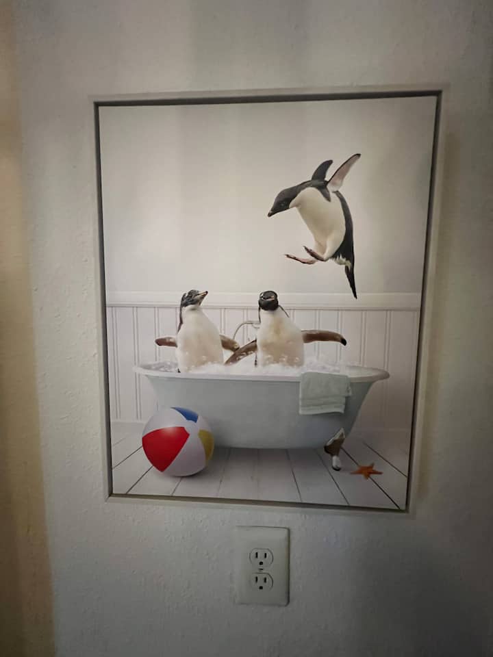 Cozy Daisy King - Joplin, MO