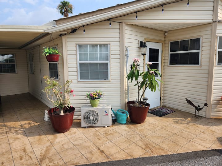 The Cozy - Harlingen, TX