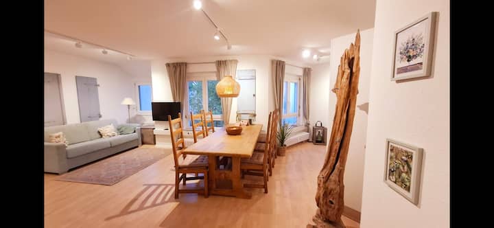 Wunderschöne Und Zentrumsnahe Ferienwohnung - Friburgo