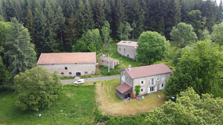 Grande Maison Dans Les Bois - Auvergne