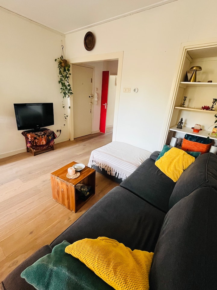 Cozy Amsterdam Apartment Close To Park & Centre - Amsterdam